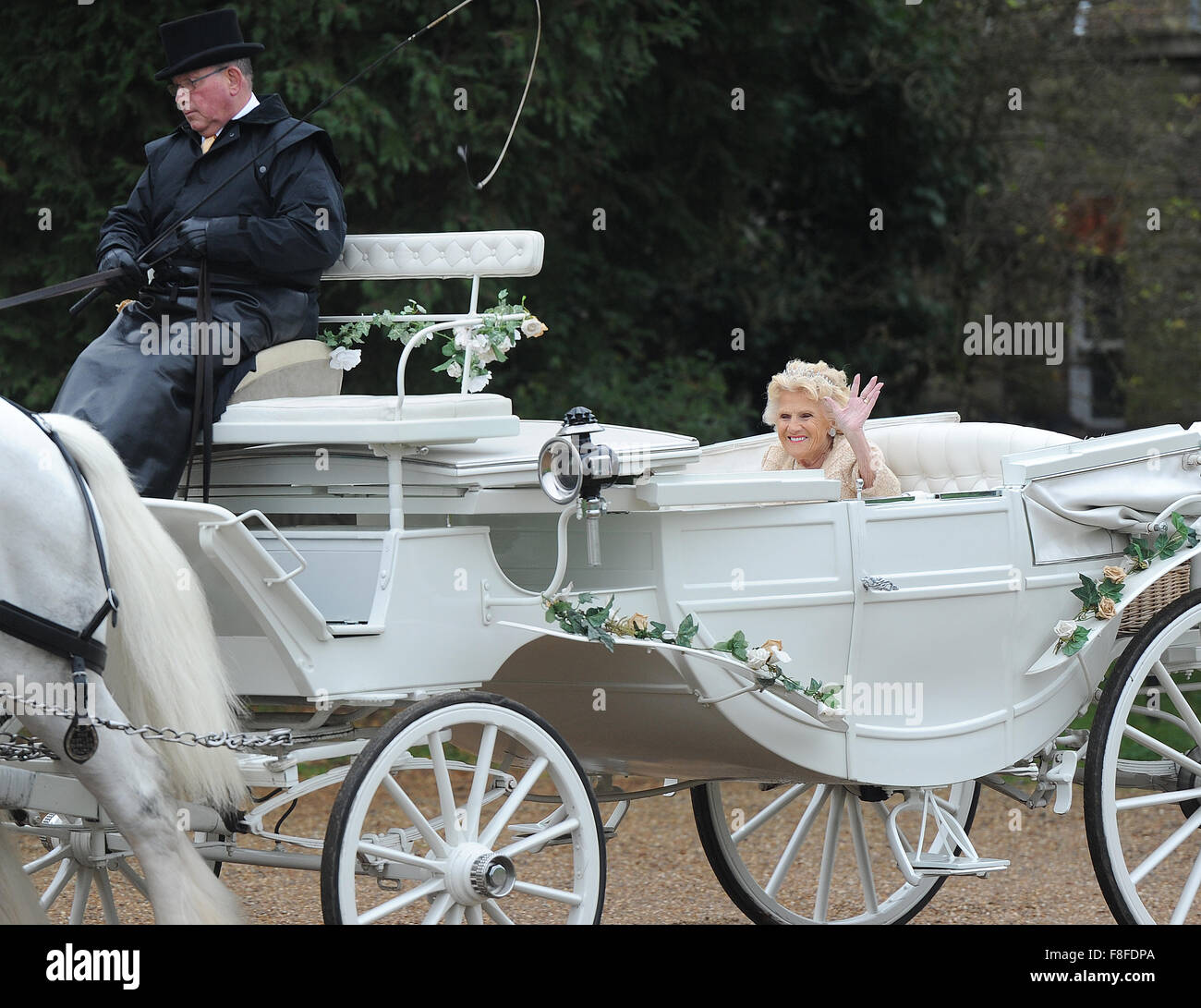 Towie film a royal wedding theme birthday party for nanny pat for her ...