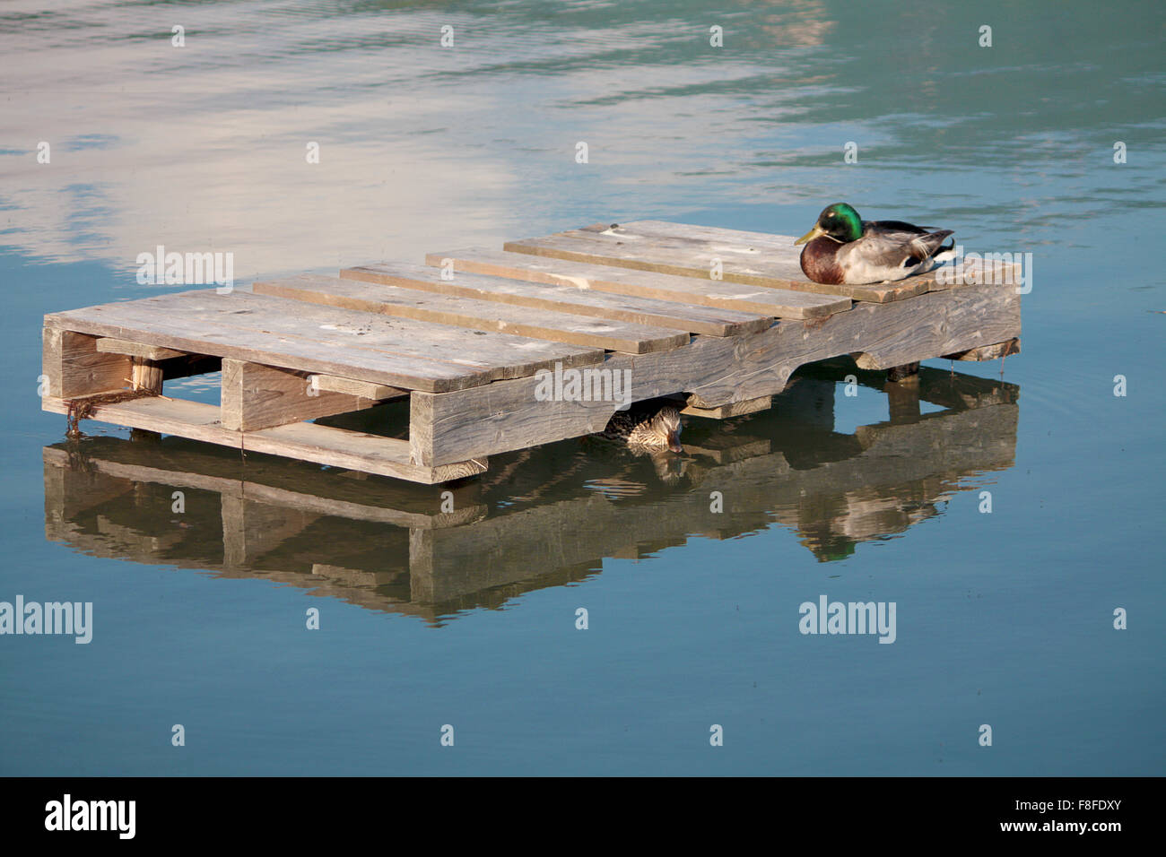 Pallett hi-res stock photography and images - Alamy
