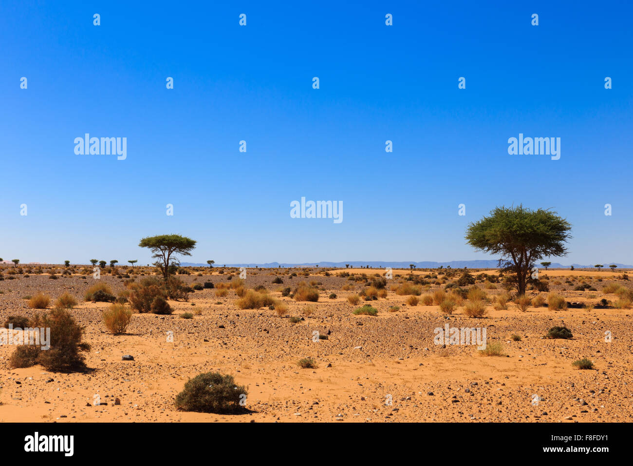 landscape in the Sahara desert Stock Photo - Alamy
