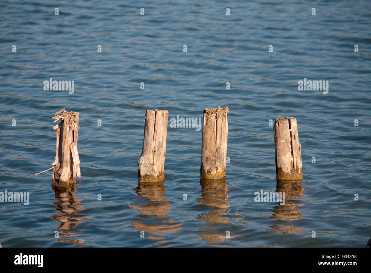 Old pier poles Stock Photo - Alamy