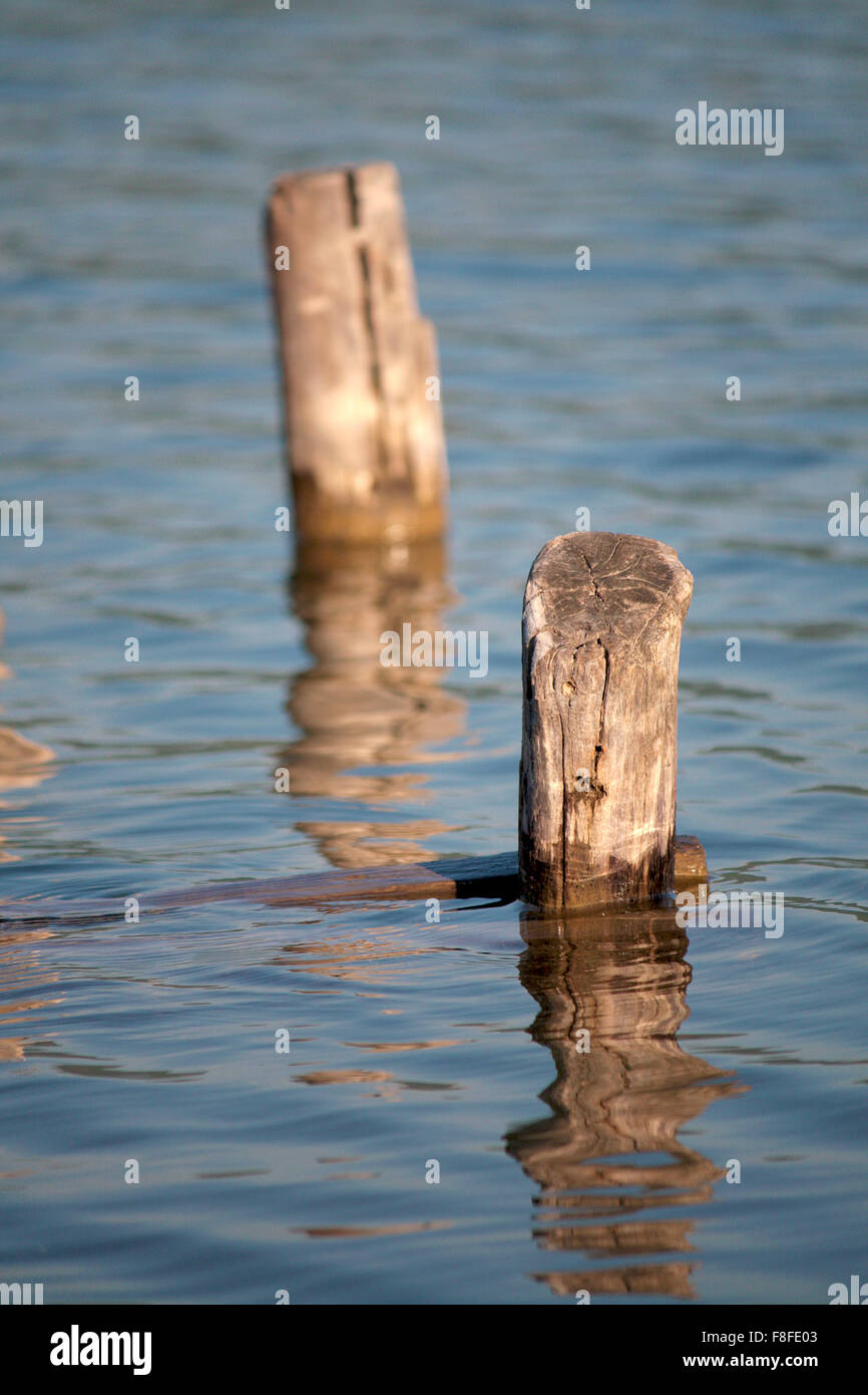 Old pier poles Stock Photo - Alamy