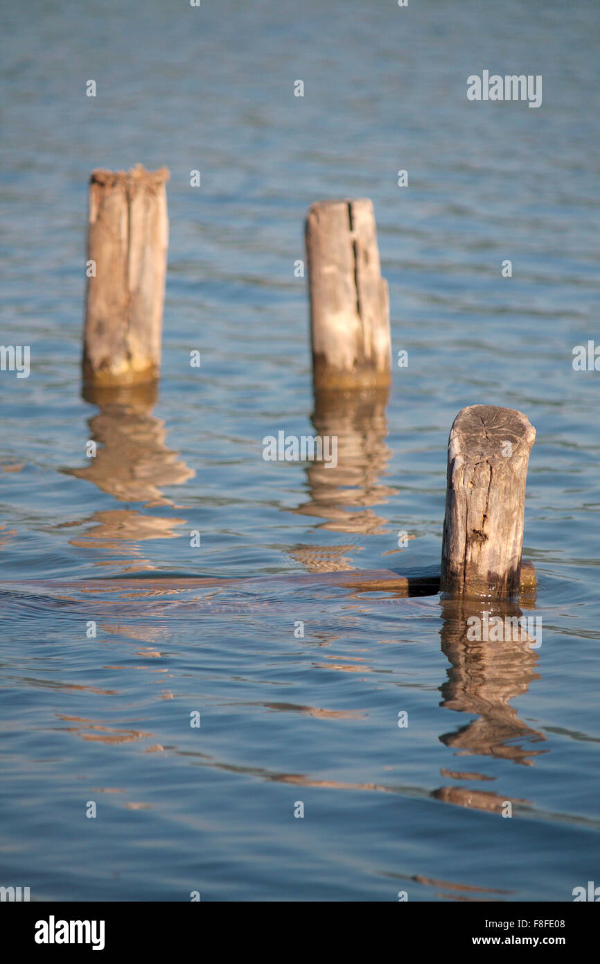 Old pier poles Stock Photo - Alamy