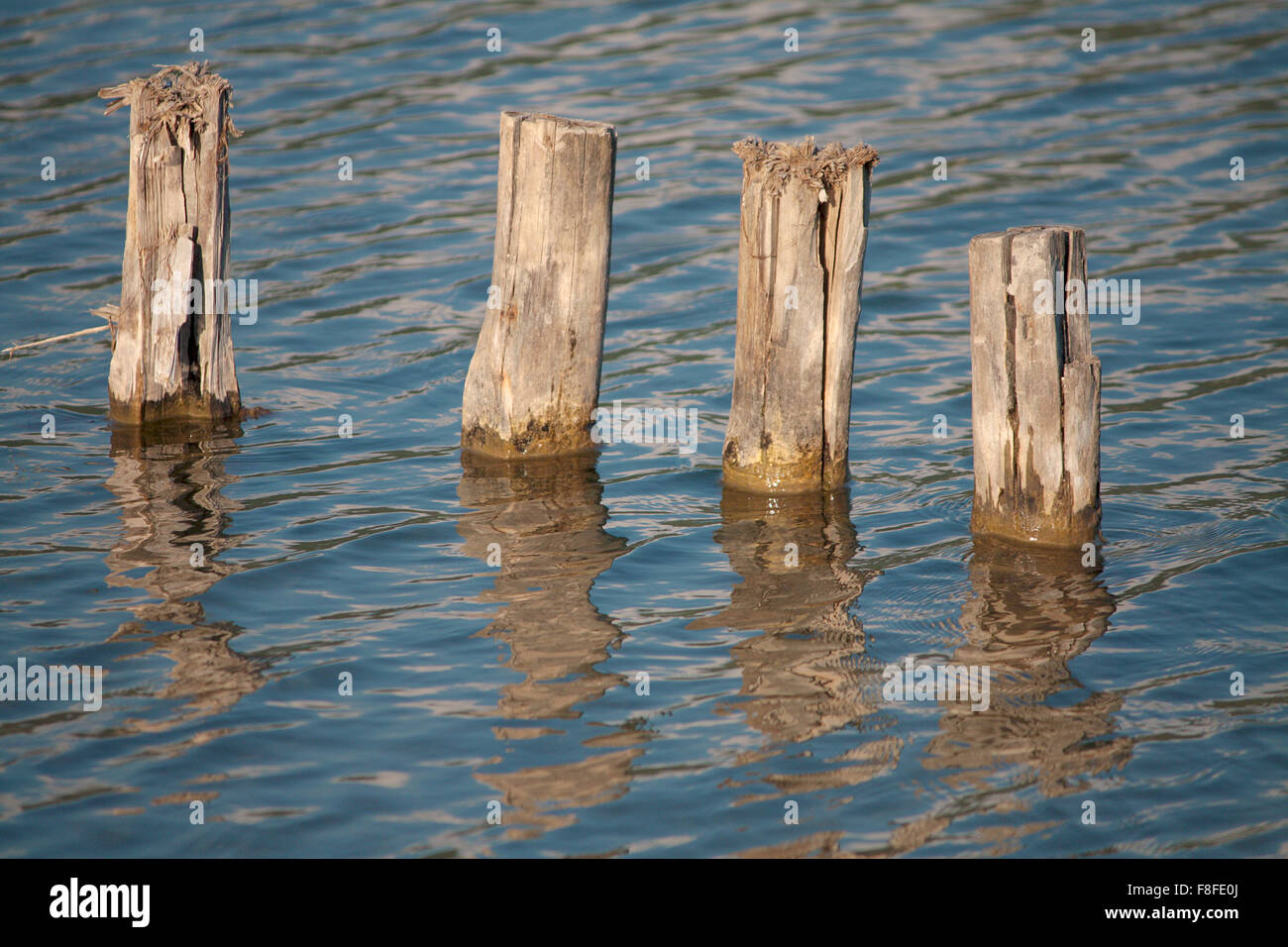 Old pier poles Stock Photo - Alamy