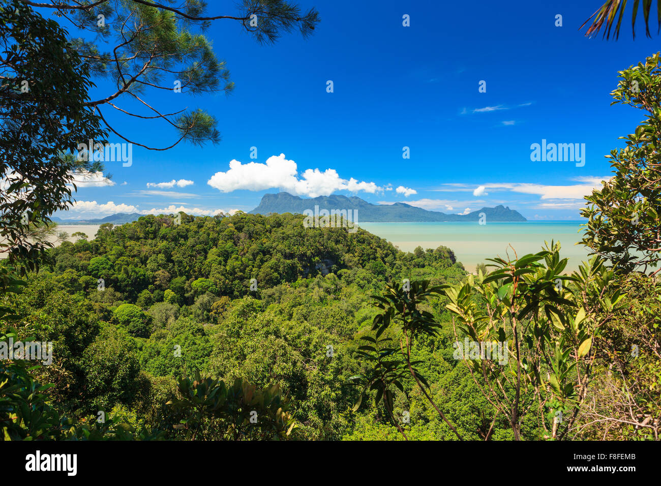 Jungle landscape hi-res stock photography and images - Alamy
