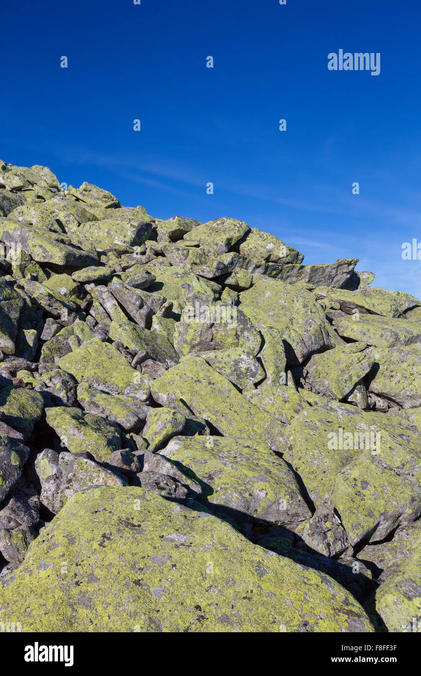 Stone run with huge boulders covered in lichen at Mount Lusen, Bavarian ...
