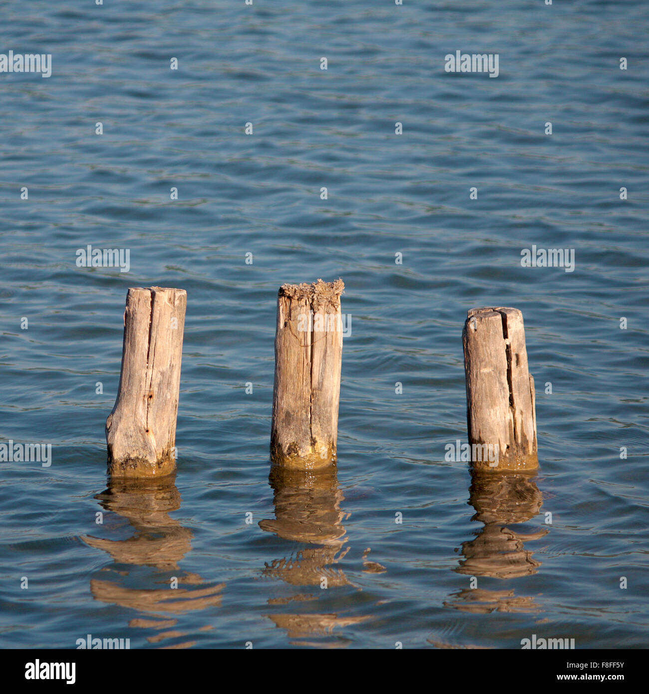 Old pier poles Stock Photo - Alamy