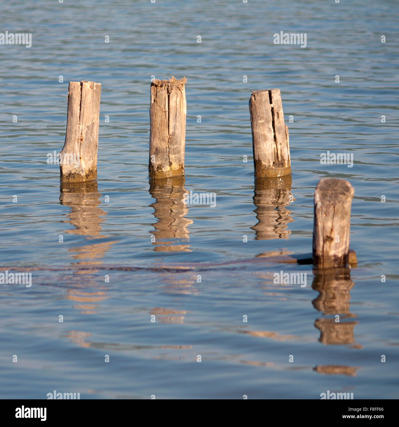 Old pier poles Stock Photo - Alamy