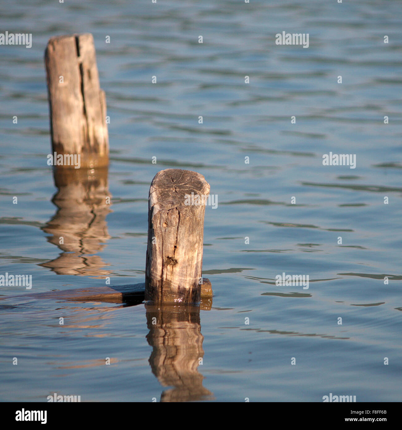 Old pier poles Stock Photo - Alamy