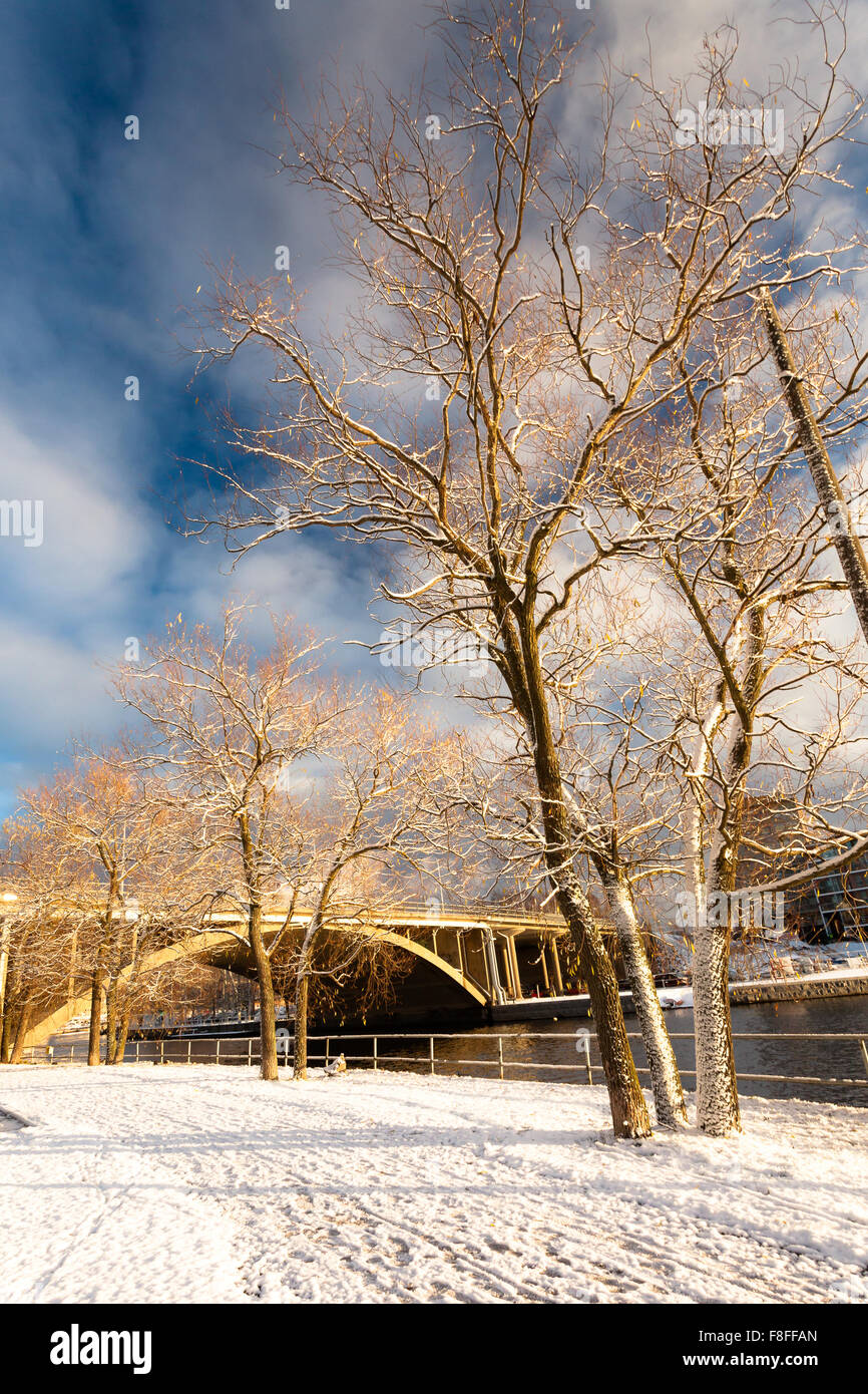 Golden light trees and bridge Stock Photo - Alamy
