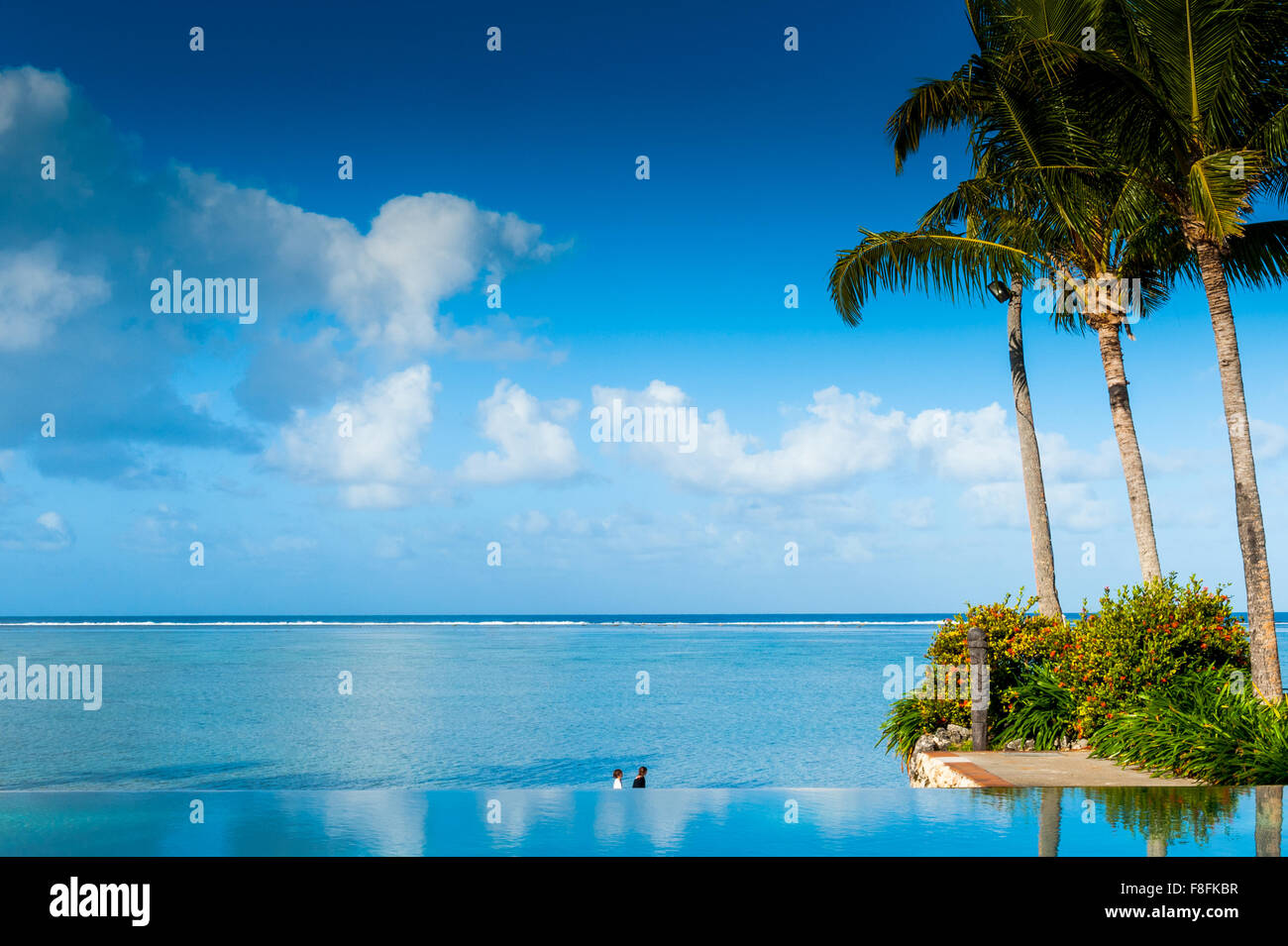 A stunning infinity swimming pool and beach on the tropical Island of ...