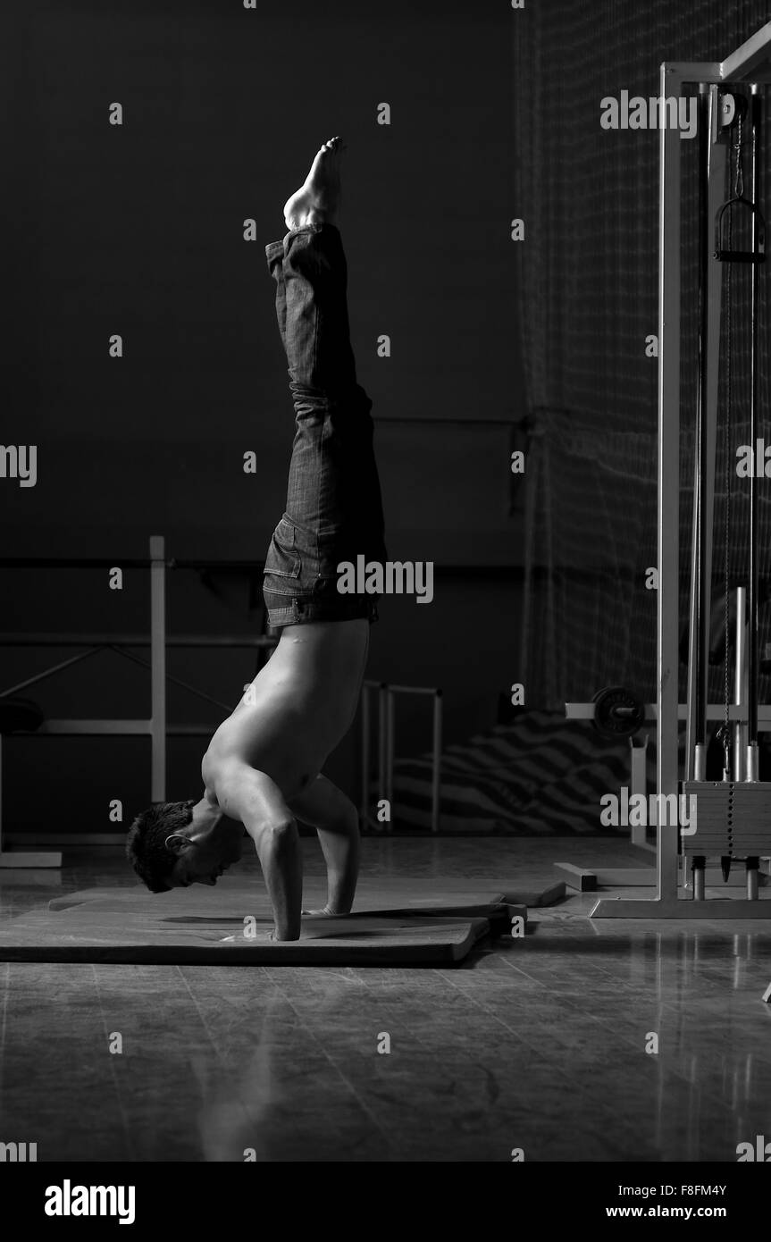 Young man performing handstand in fitness studio. rear, back ...