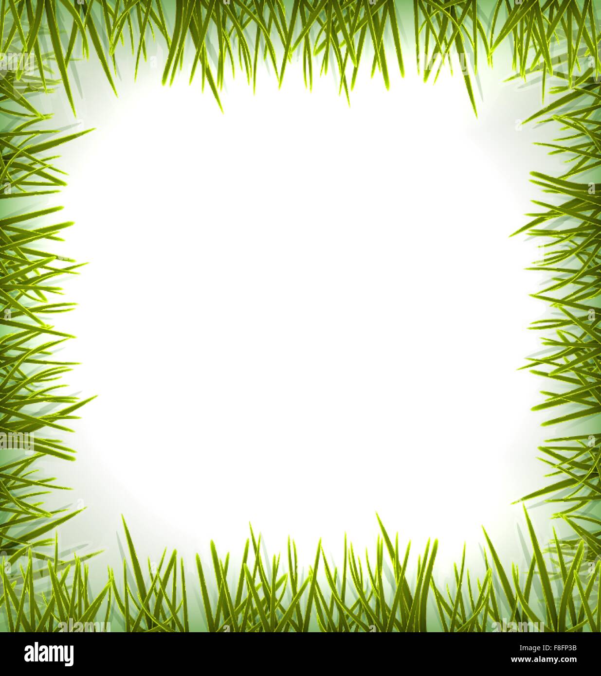 Realistic green grass like frame isolated on white - vector Stock ...