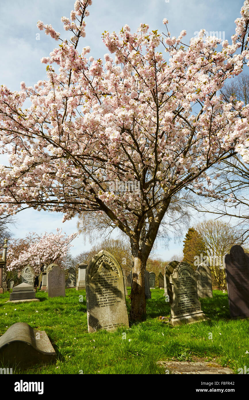 Rock cemetery, nottingham hi-res stock photography and images - Alamy