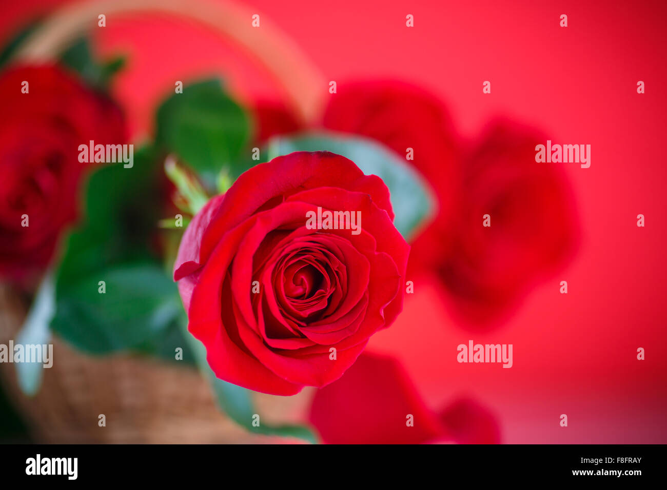 Rose weaving hi-res stock photography and images - Alamy