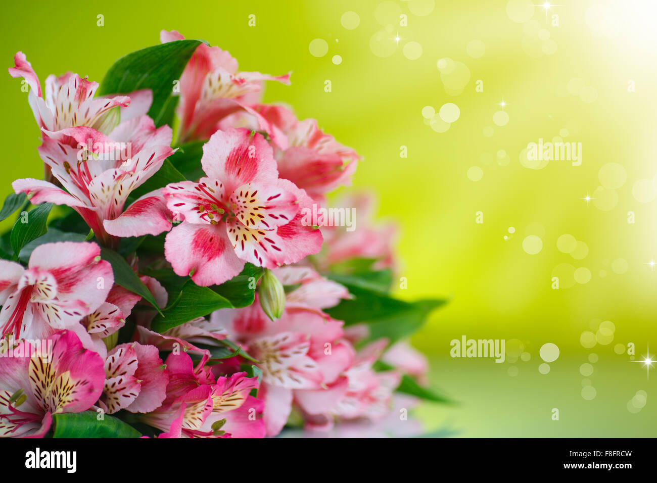 Beautiful bouquet of flowers hi-res stock photography and images - Alamy