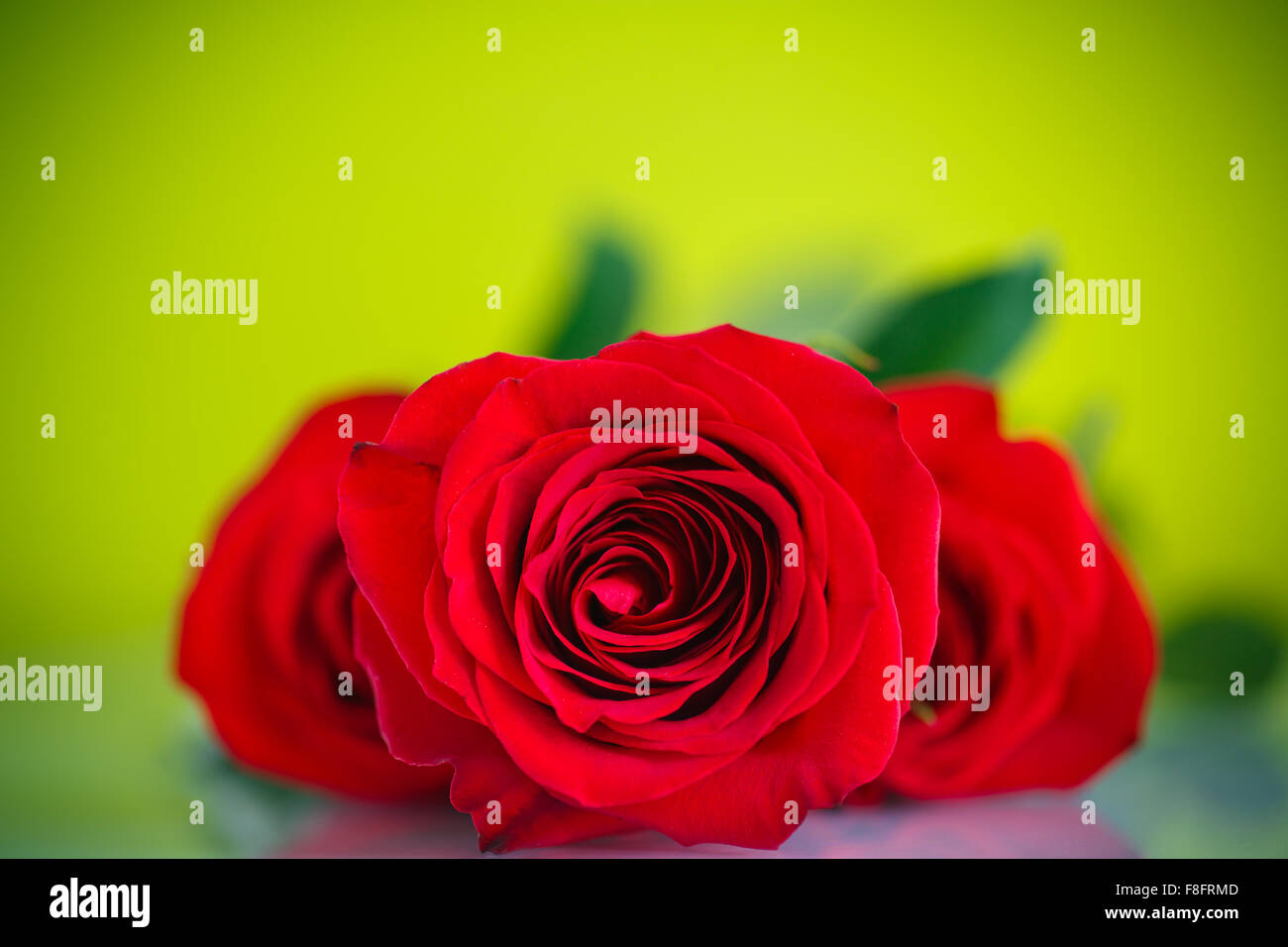 Rose weaving hi-res stock photography and images - Alamy