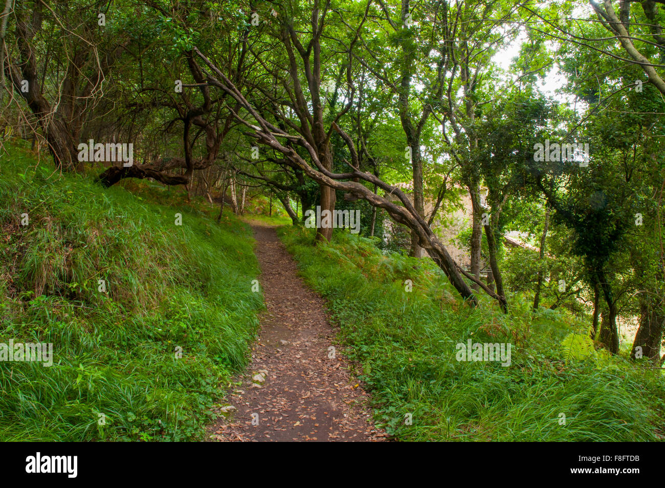 Sendero horizontal hi-res stock photography and images - Alamy