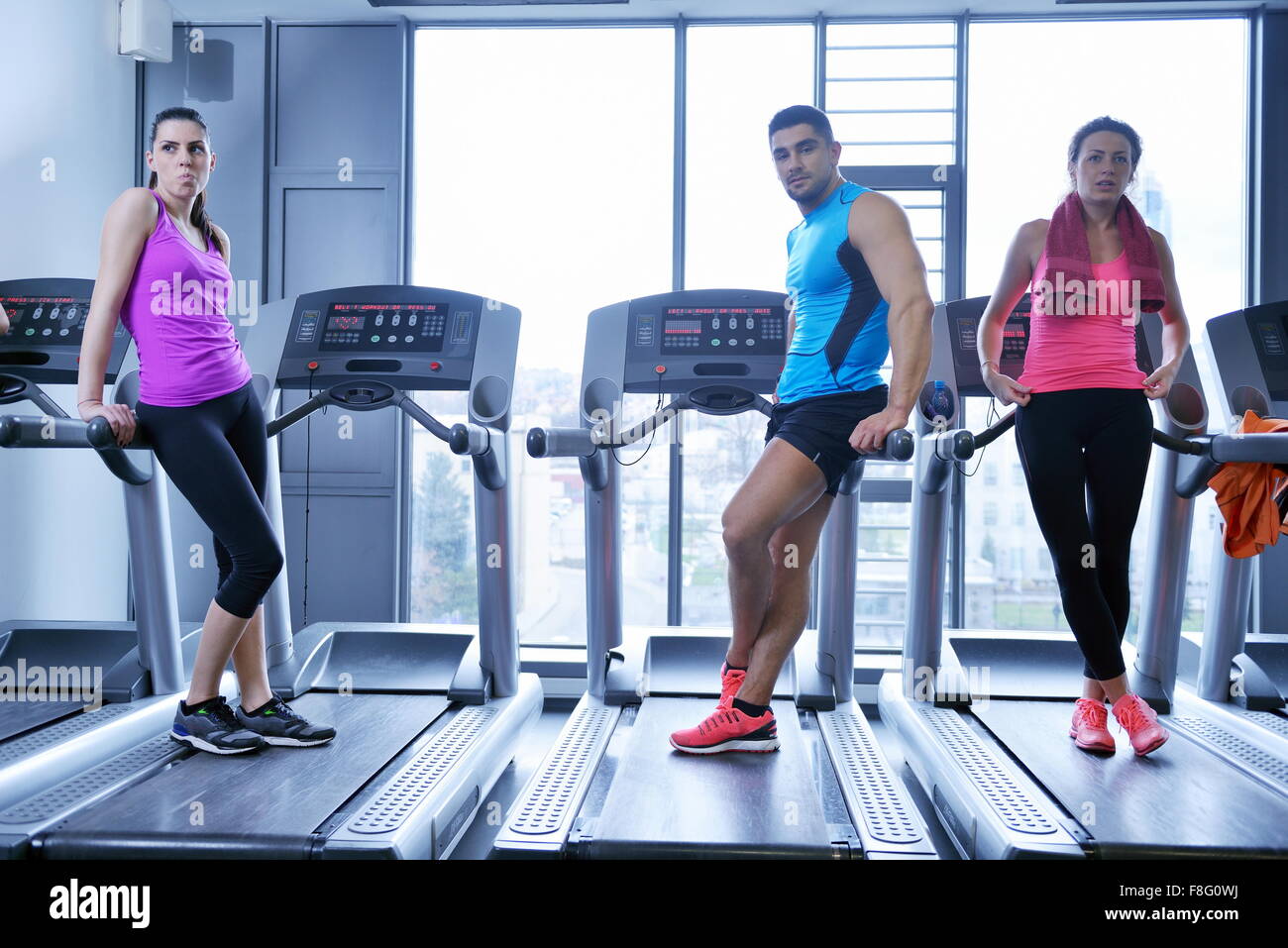 group of young people running on treadmills in modern sport gym Stock ...