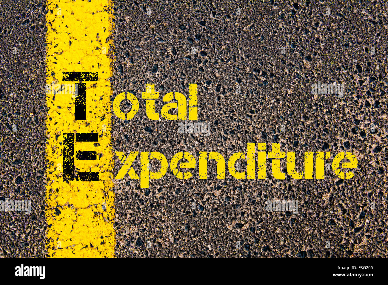Concept image of Accounting Business Acronym TE Total Expenditure ...