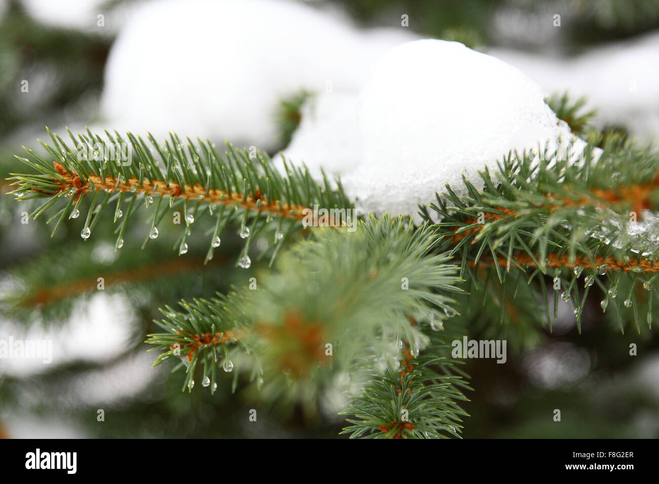 Warm winter days hi-res stock photography and images - Alamy