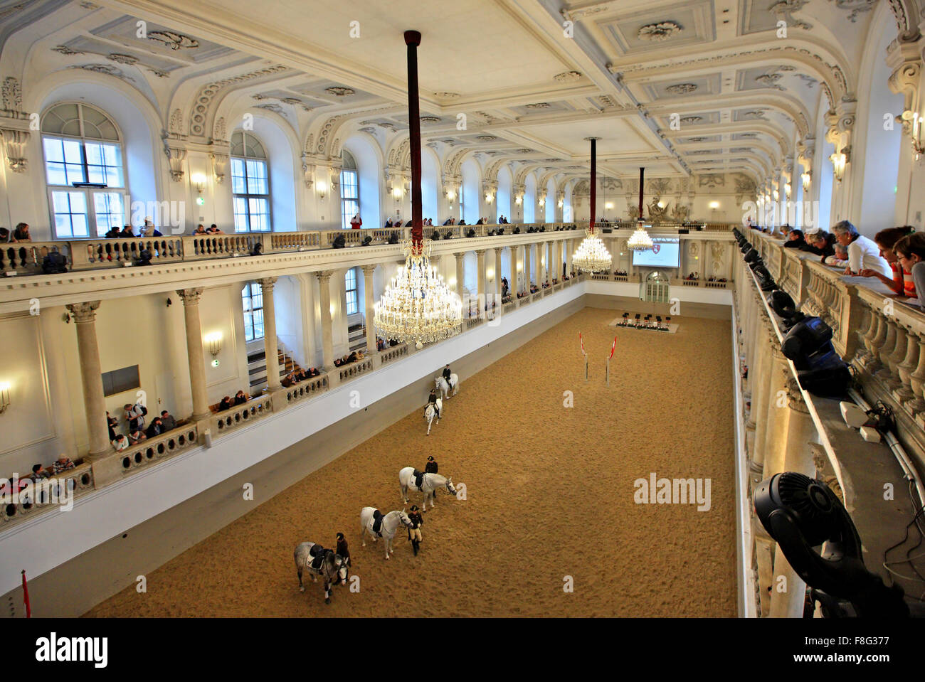 Morning training in the Spanish Riding School, in Hofburg palace ...