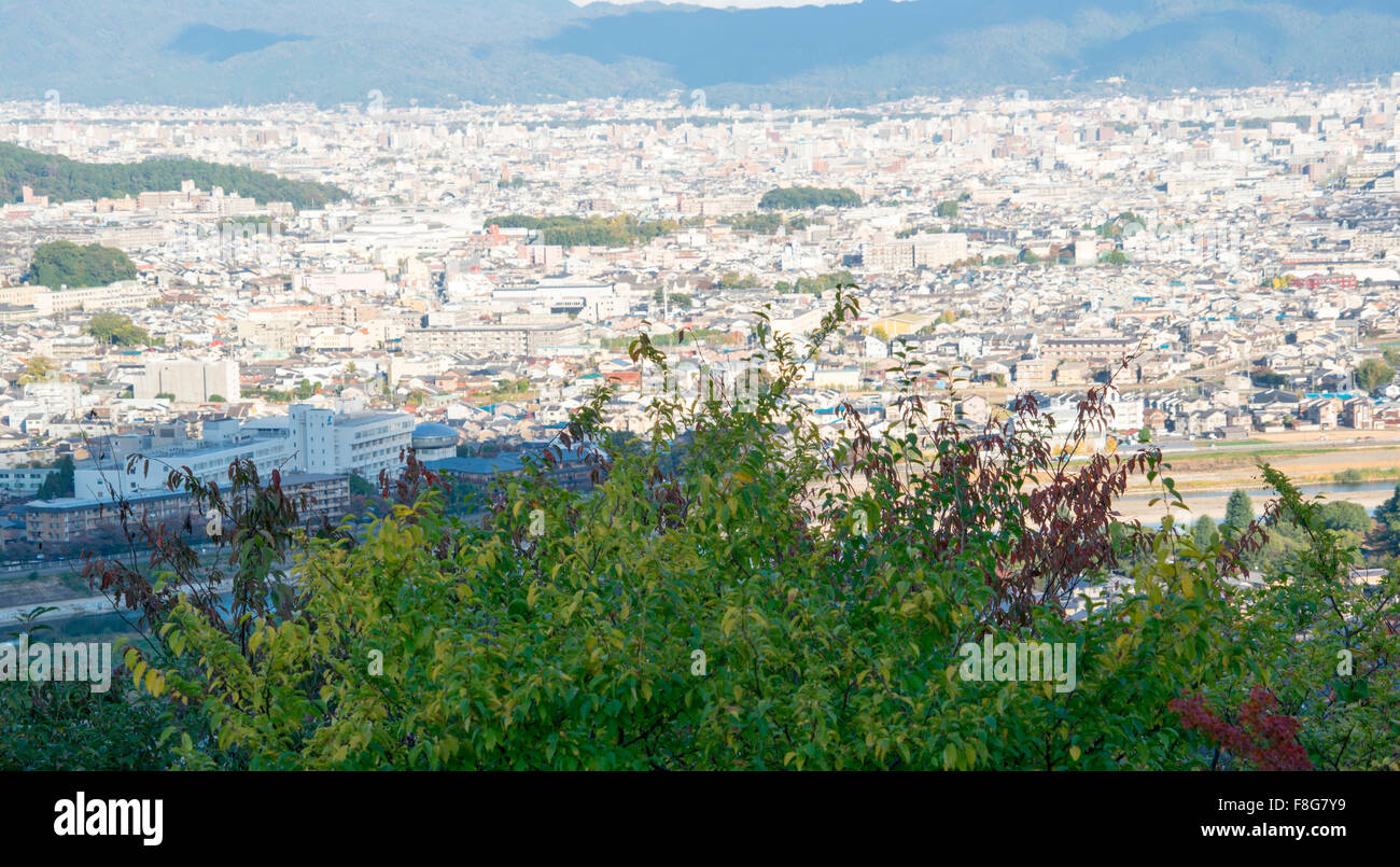 Iwatayama Monkey Park in Kyoto,Japan Stock Photo - Alamy