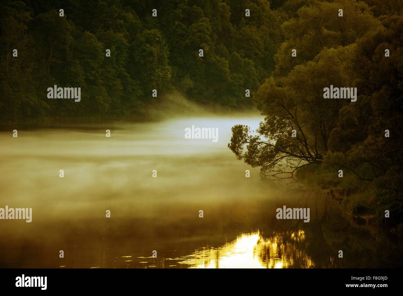 San river poland hi-res stock photography and images - Alamy