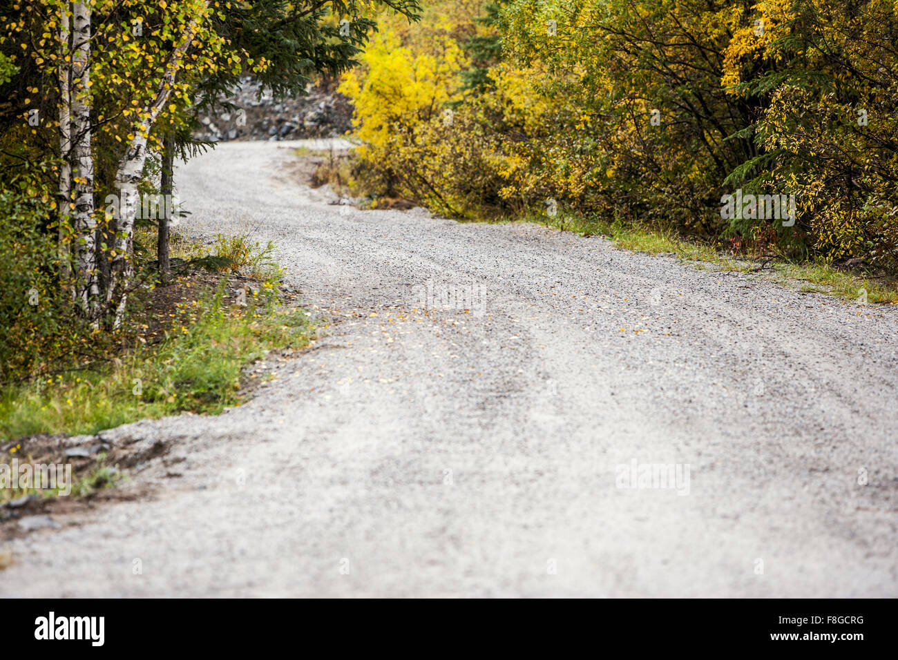 Dirt road through woods hi-res stock photography and images - Alamy