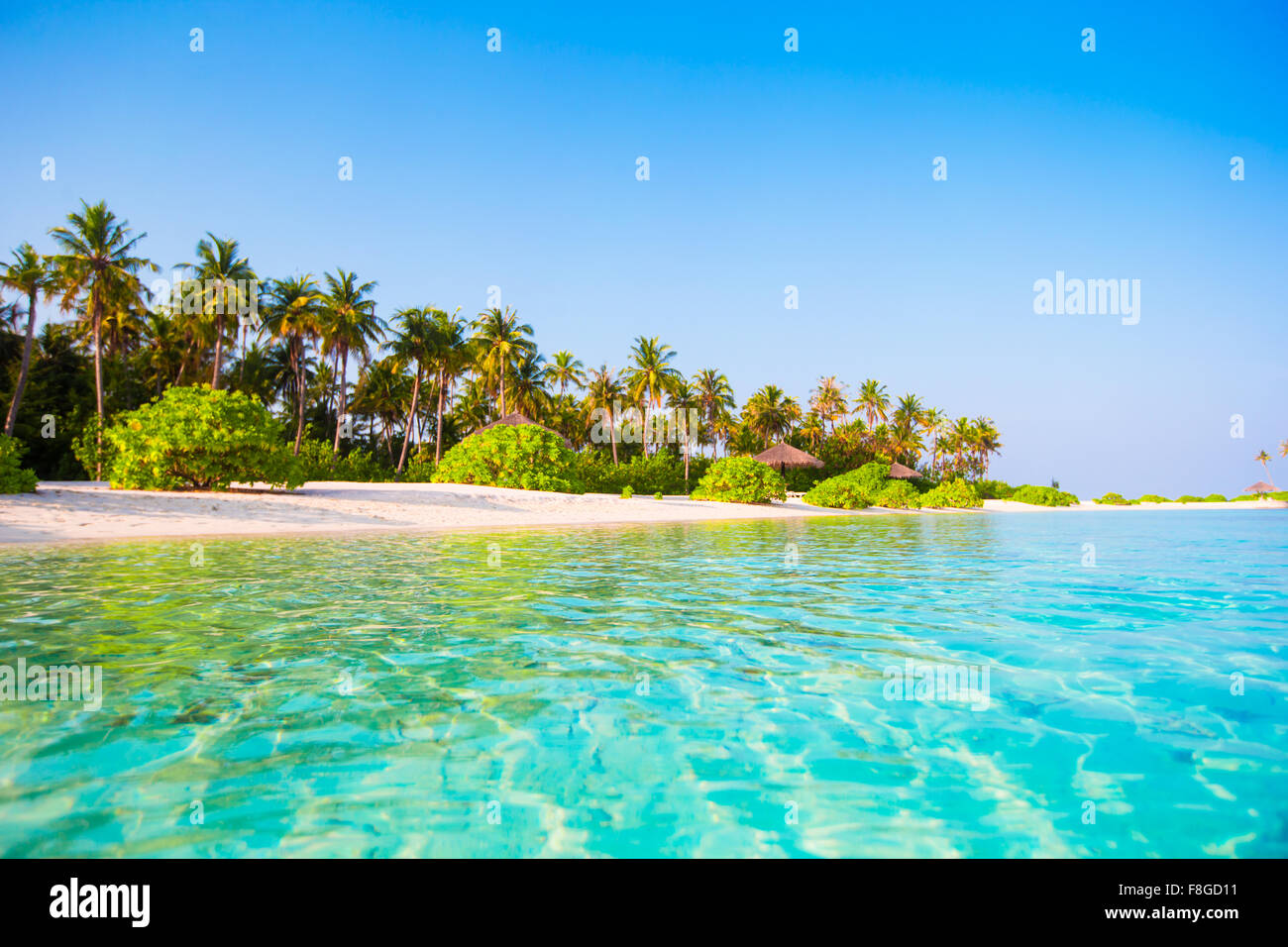 Idyllic clean perfect turquoise water and white sand at exotic island ...