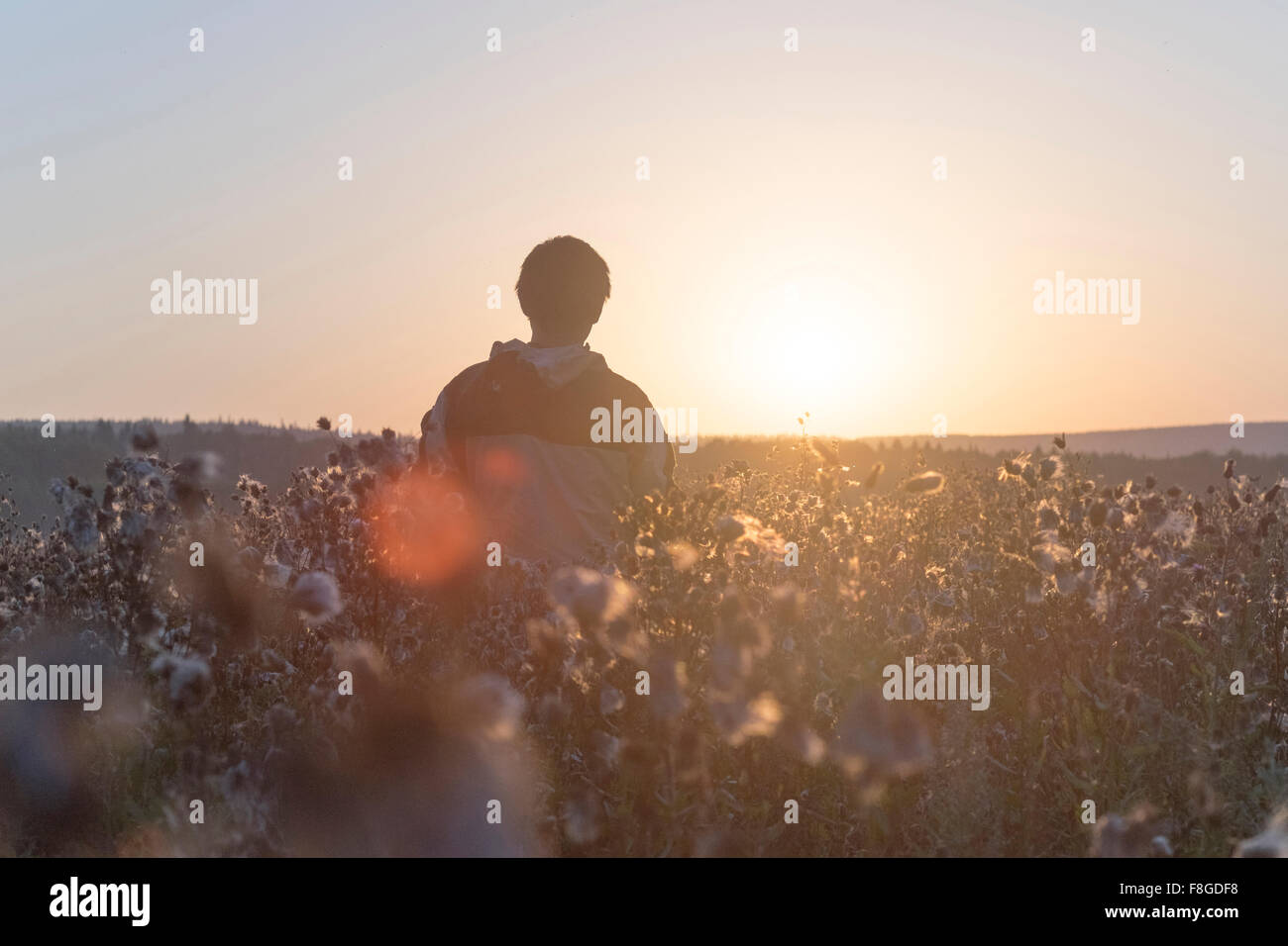 Mid distance silhouette man standing hi-res stock photography and ...