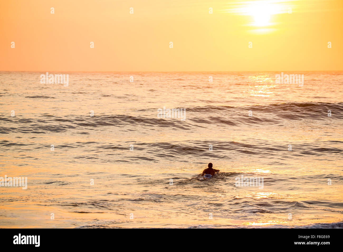 Surfer paddling in ocean hi-res stock photography and images - Alamy