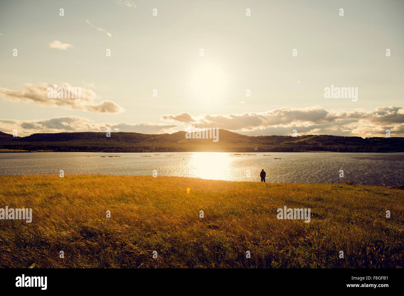 Man standing silhouette back view hi-res stock photography and images ...