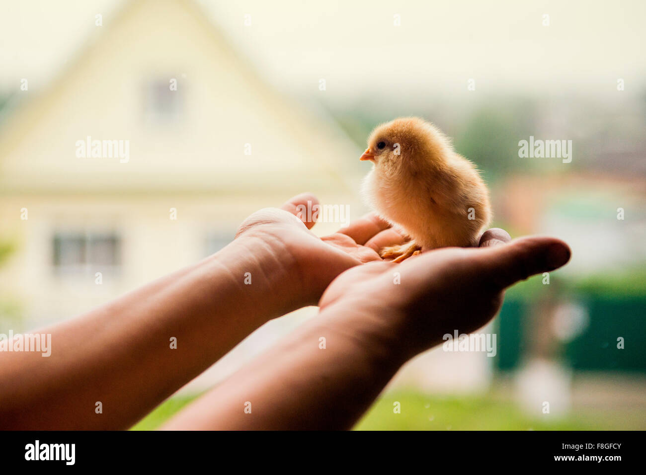 Spring Stock Photos & Images from Alamy