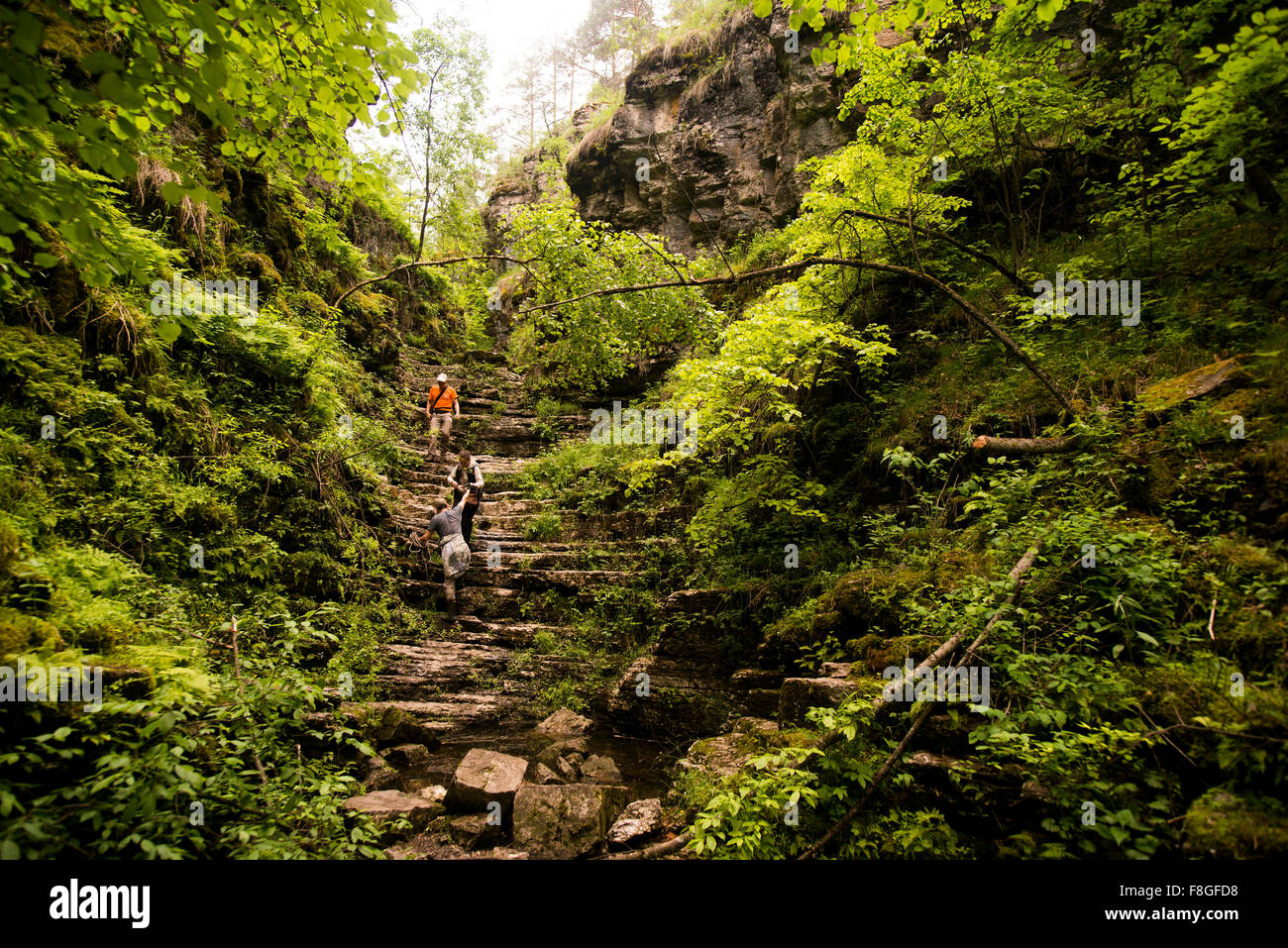 Hiker climbing rocks in forest Stock Photo - Alamy