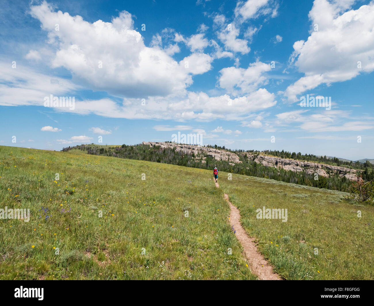 Walking path on hill hi-res stock photography and images - Alamy