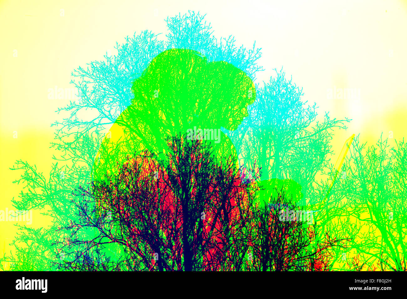 Artsy model hi-res stock photography and images - Alamy