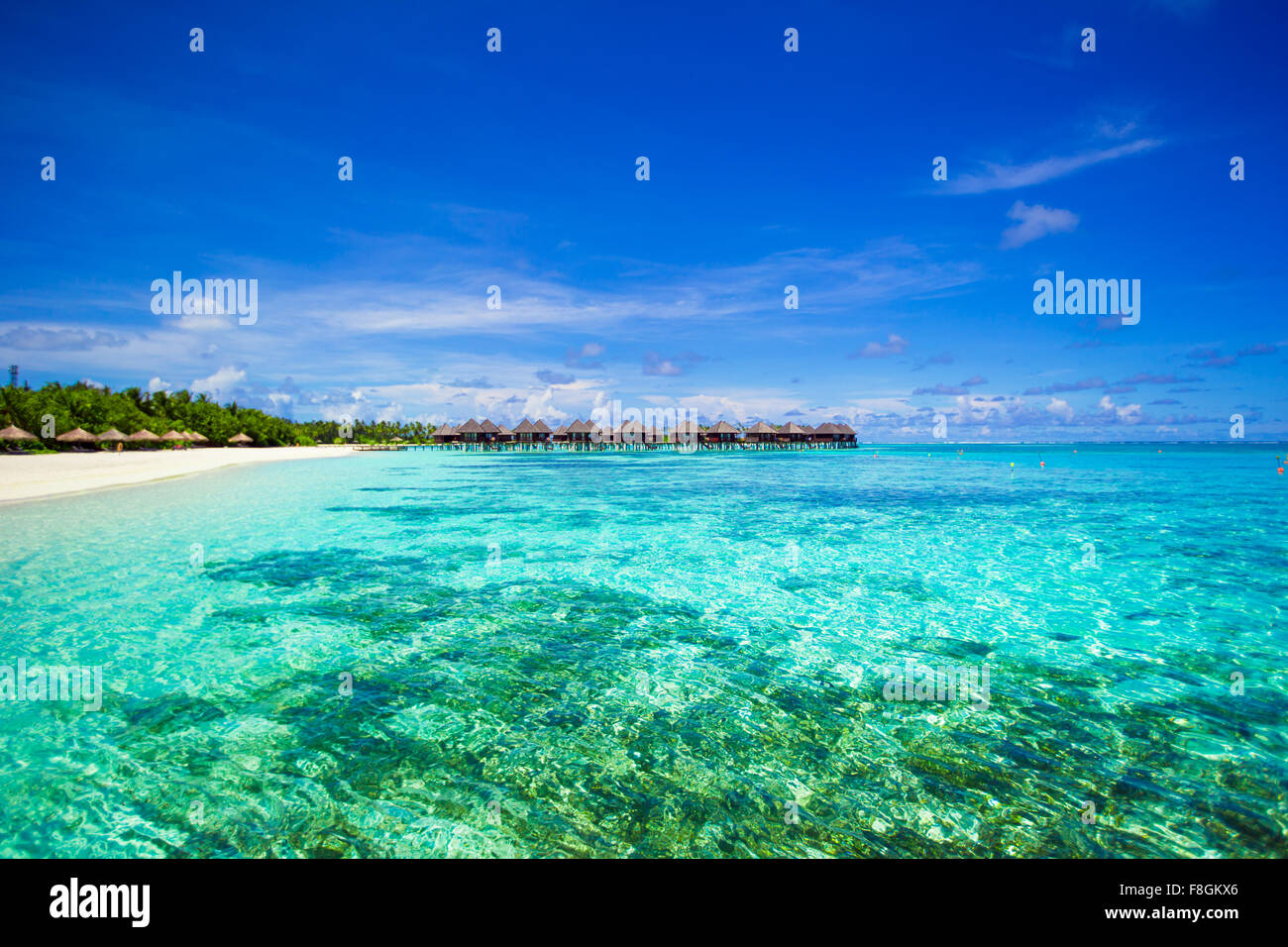 Beautiful tropical view of perfect ideal island in Indian Ocean Stock ...