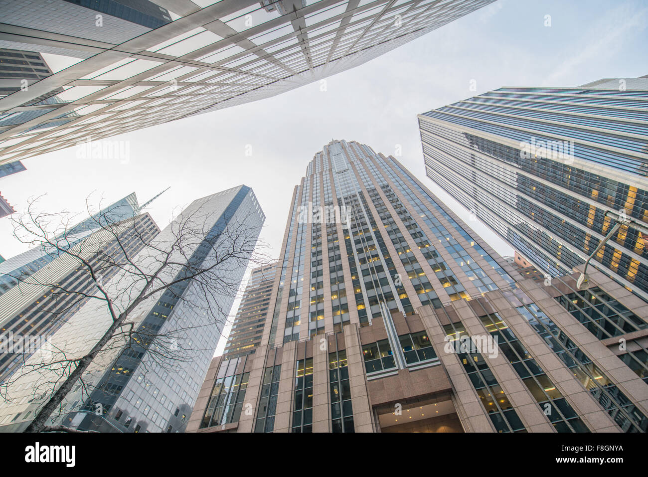 Tall skyscrapers shot with perspective Stock Photo - Alamy