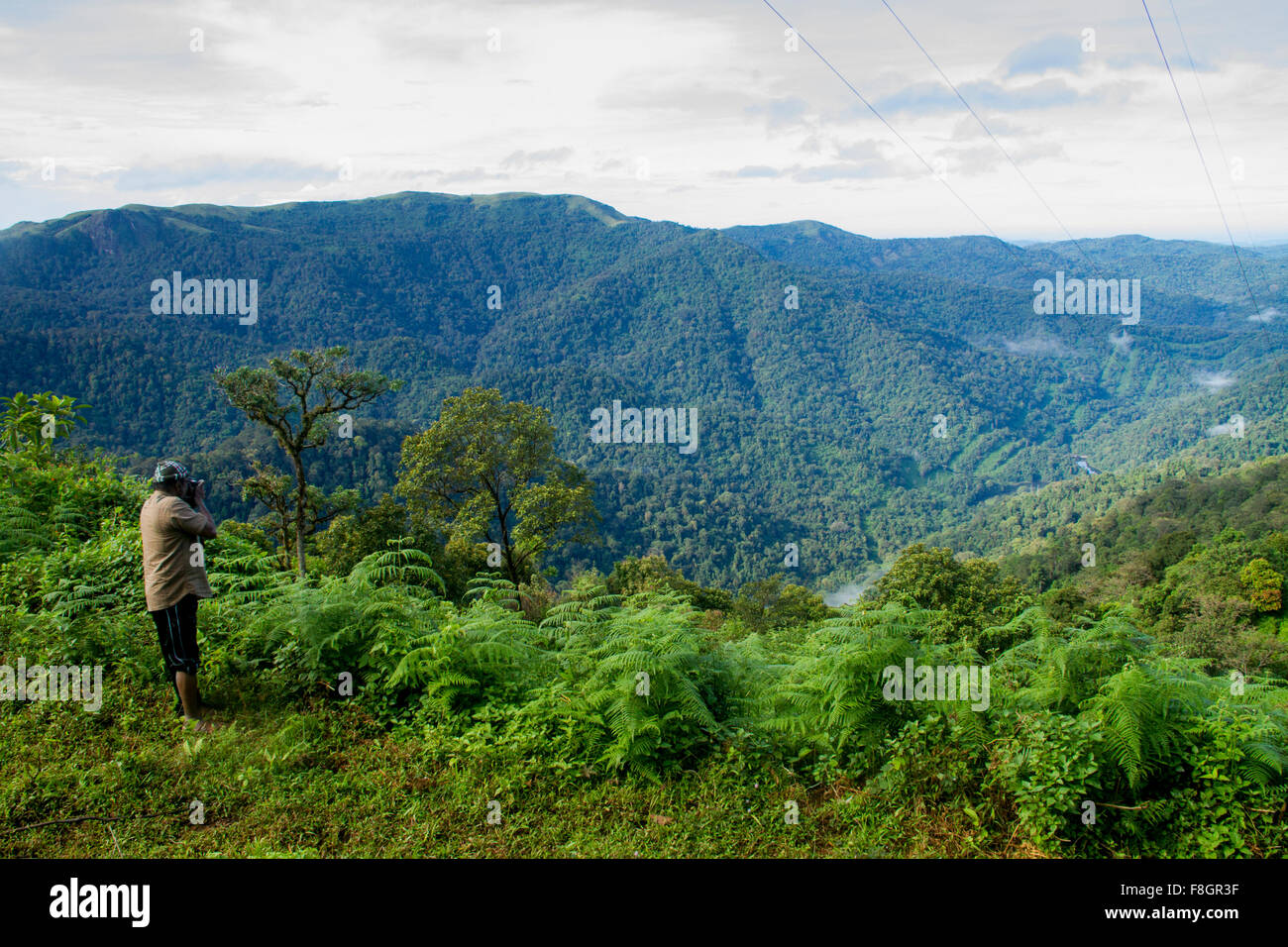 Travel Photographer taking photos of green landscape in Gavi forest ...
