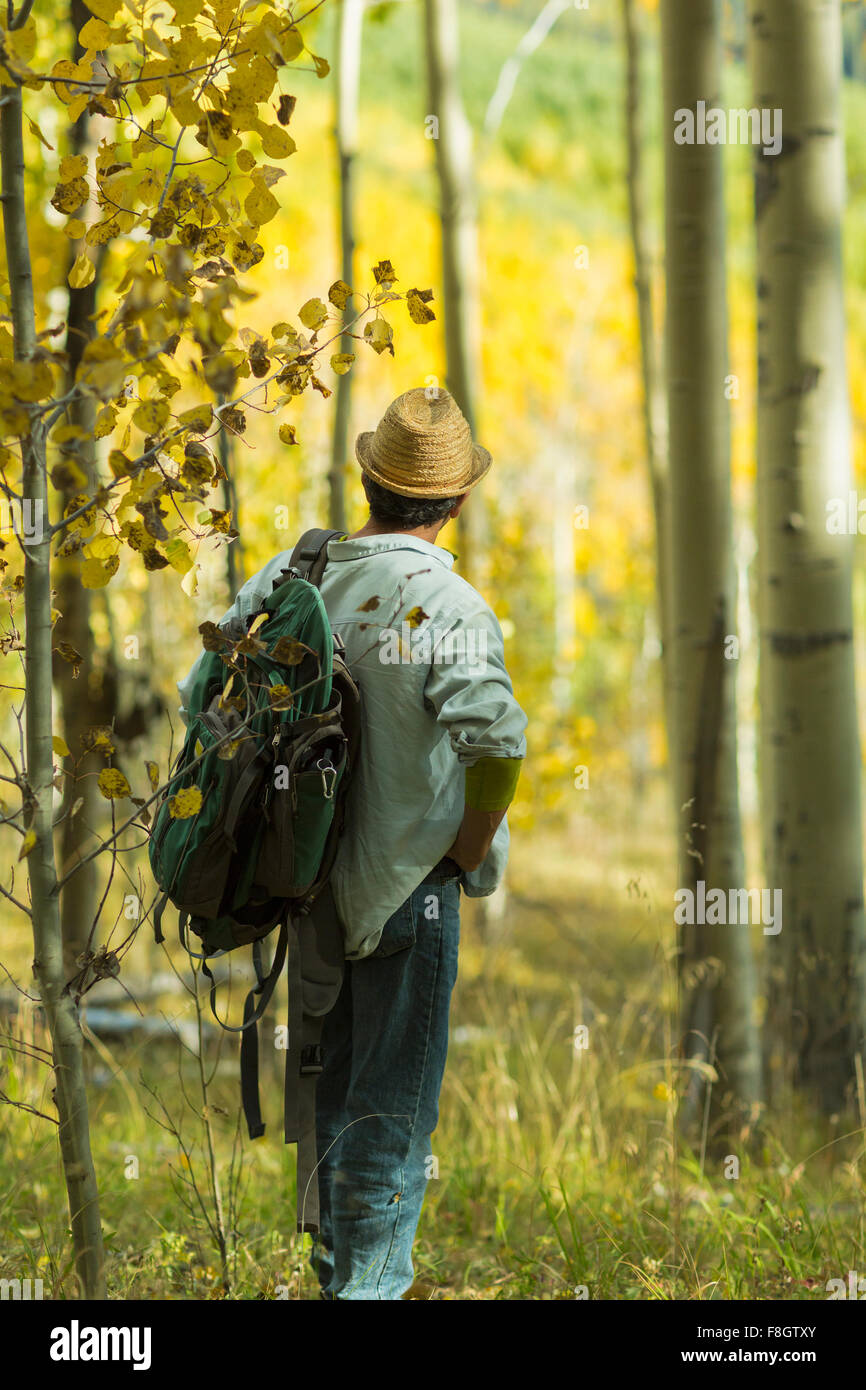 Man exploring autumn forest Stock Photo - Alamy