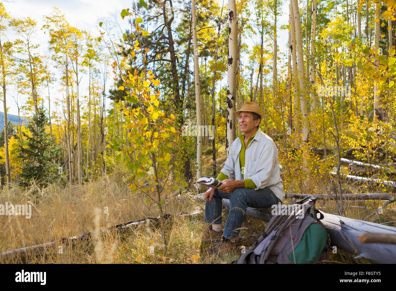 Man resting in forest hi-res stock photography and images - Alamy