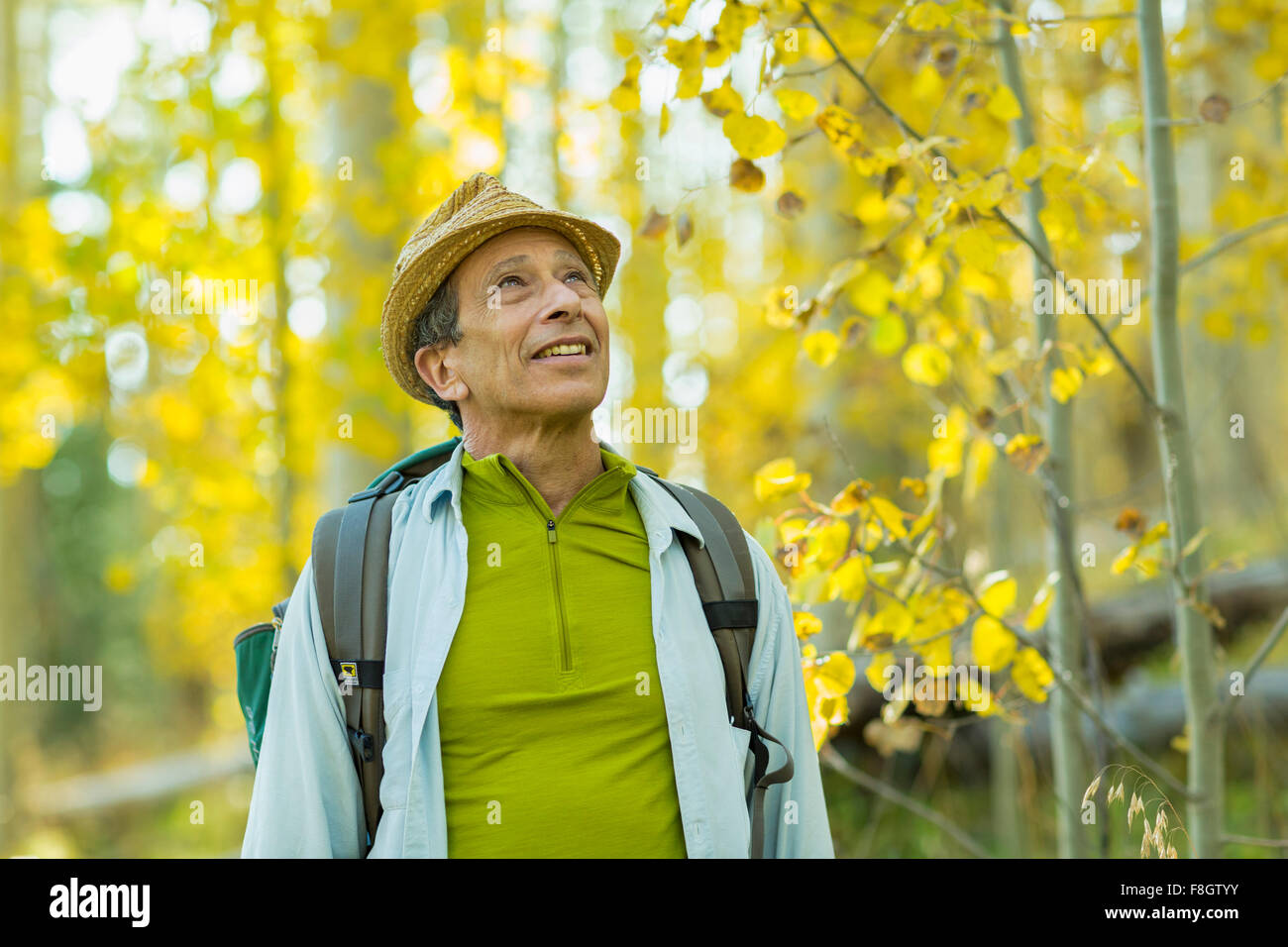 Man exploring autumn forest Stock Photo - Alamy