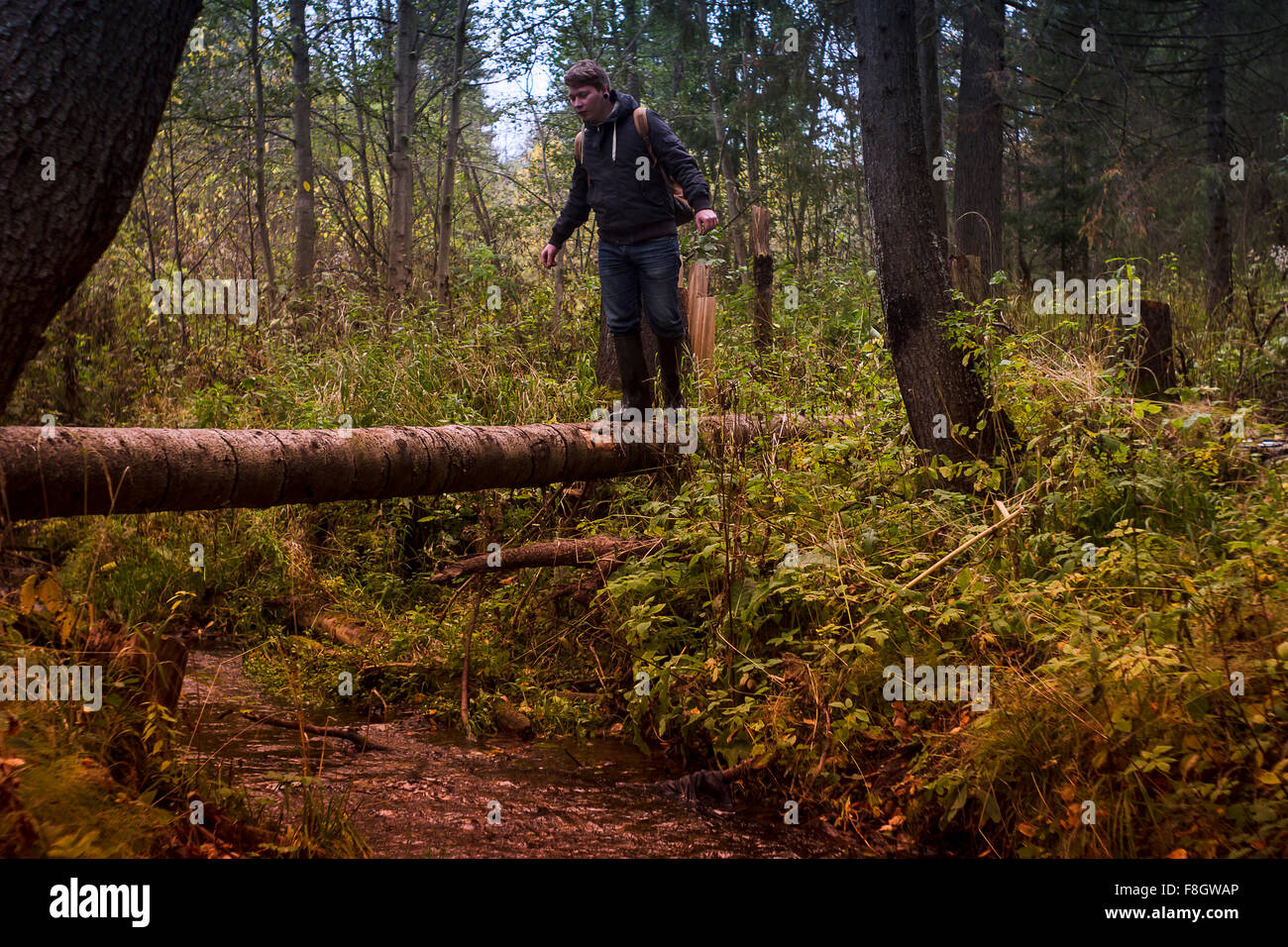 Fallen human hi-res stock photography and images - Alamy