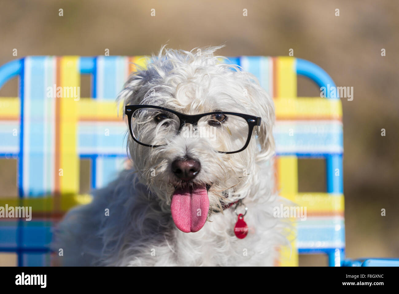 Lawn chair hi-res stock photography and images - Alamy