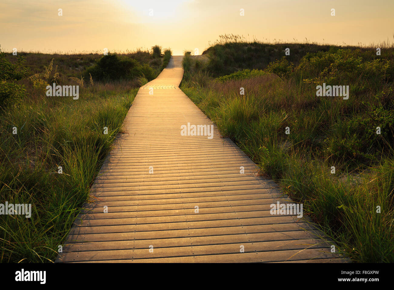 Wooden walkway to beach Stock Photo - Alamy