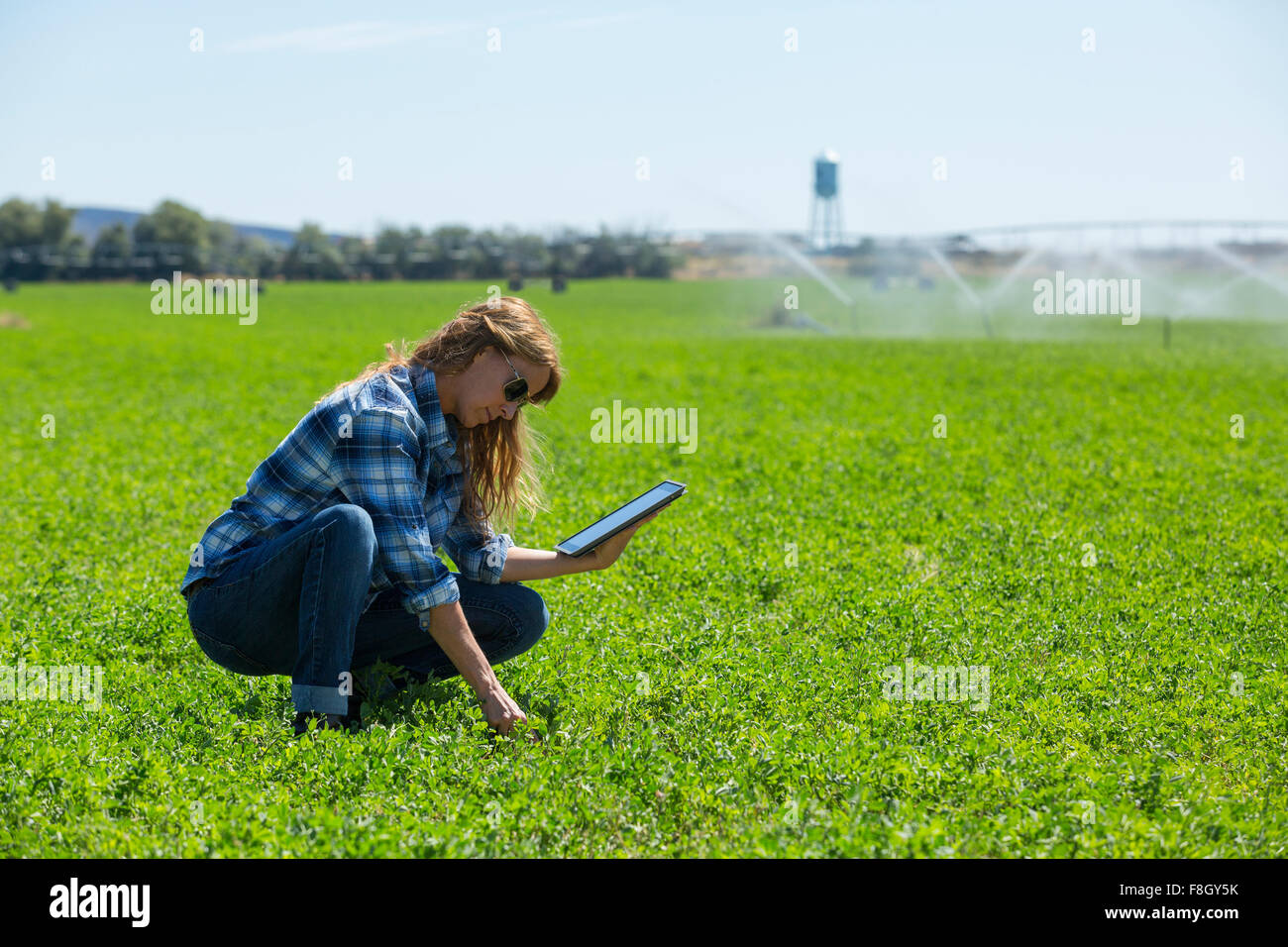 Women using tech hi-res stock photography and images - Alamy