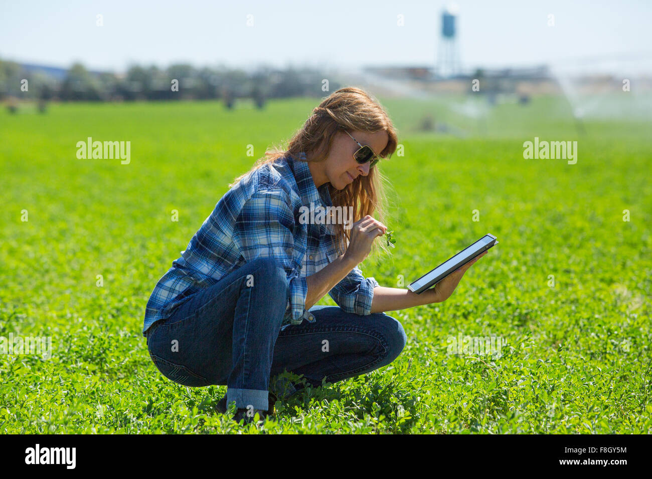 Women using tech hi-res stock photography and images - Alamy