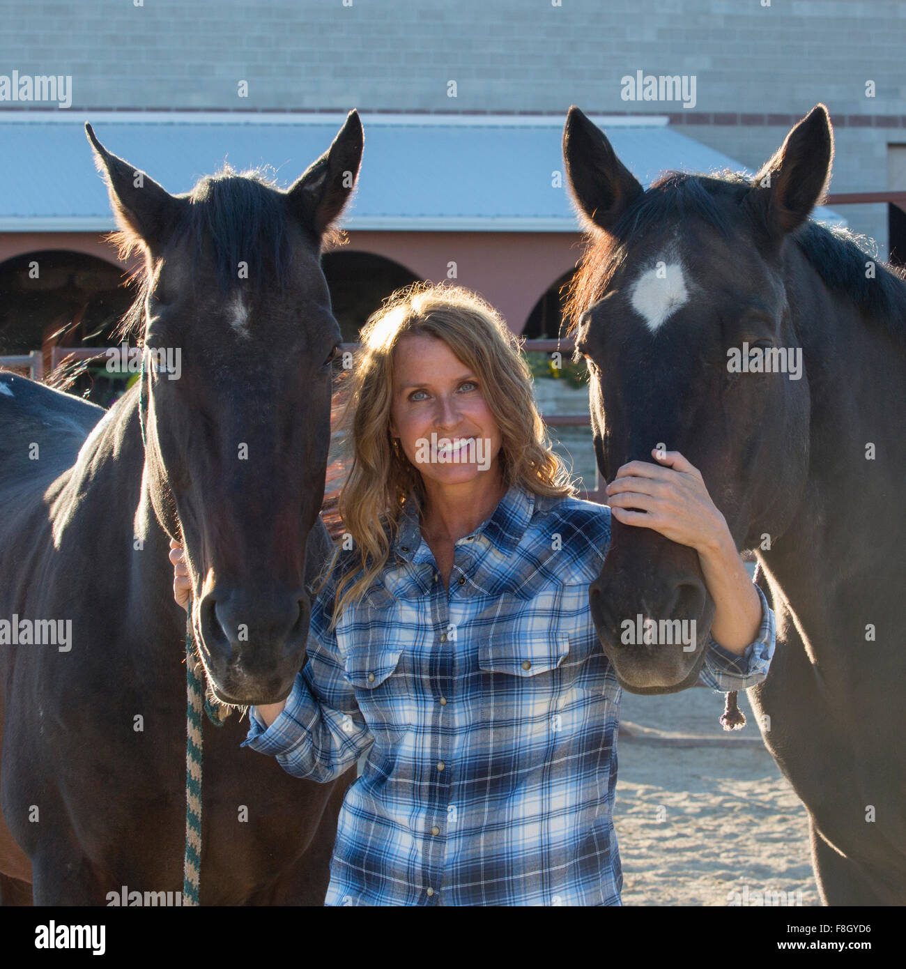 Caucasian rancher smiling with horses Stock Photo - Alamy