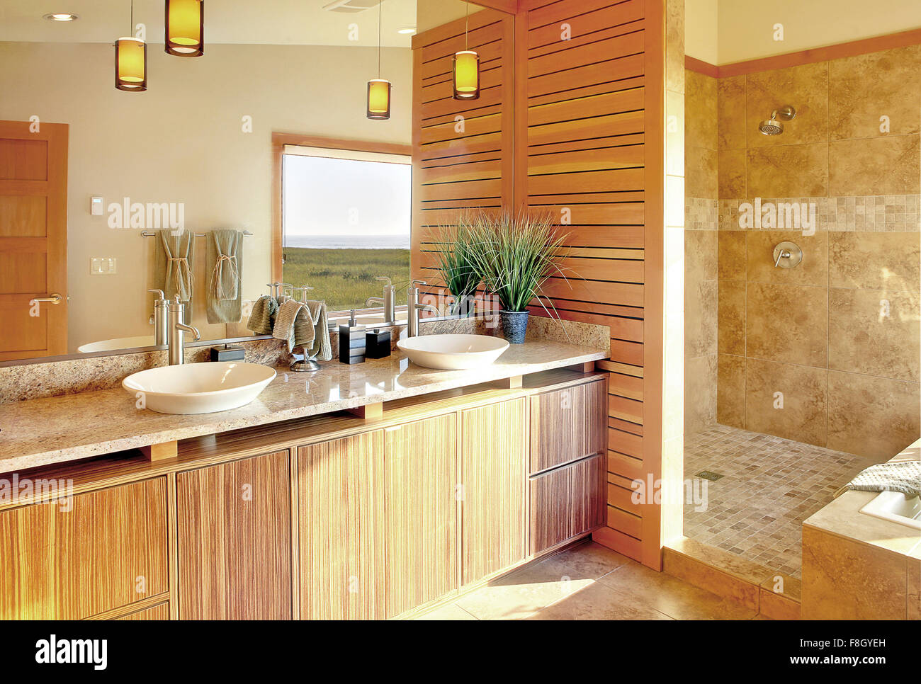 Shower and sinks in modern bathroom Stock Photo - Alamy