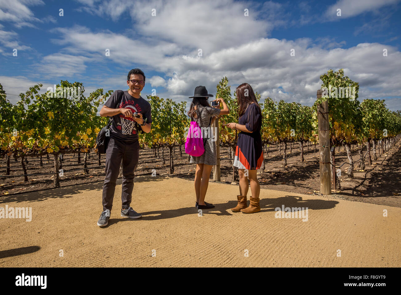 people, tourists, grape vineyard, grape vineyards, vineyard, vineyards ...